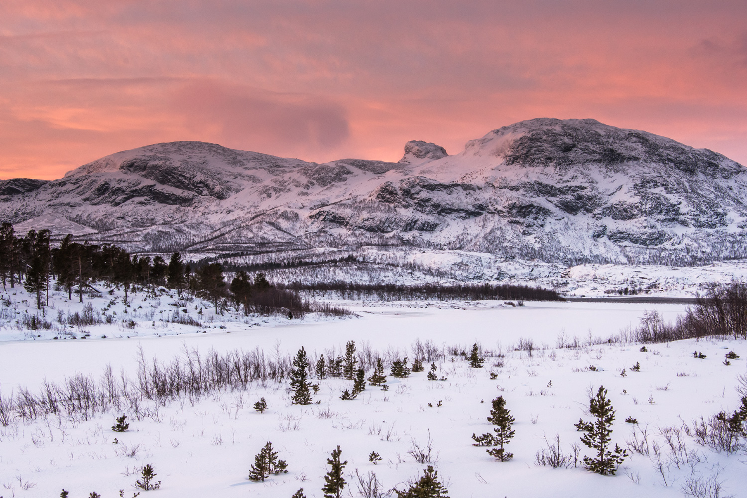Nikon School Adventures: Abisko National Park